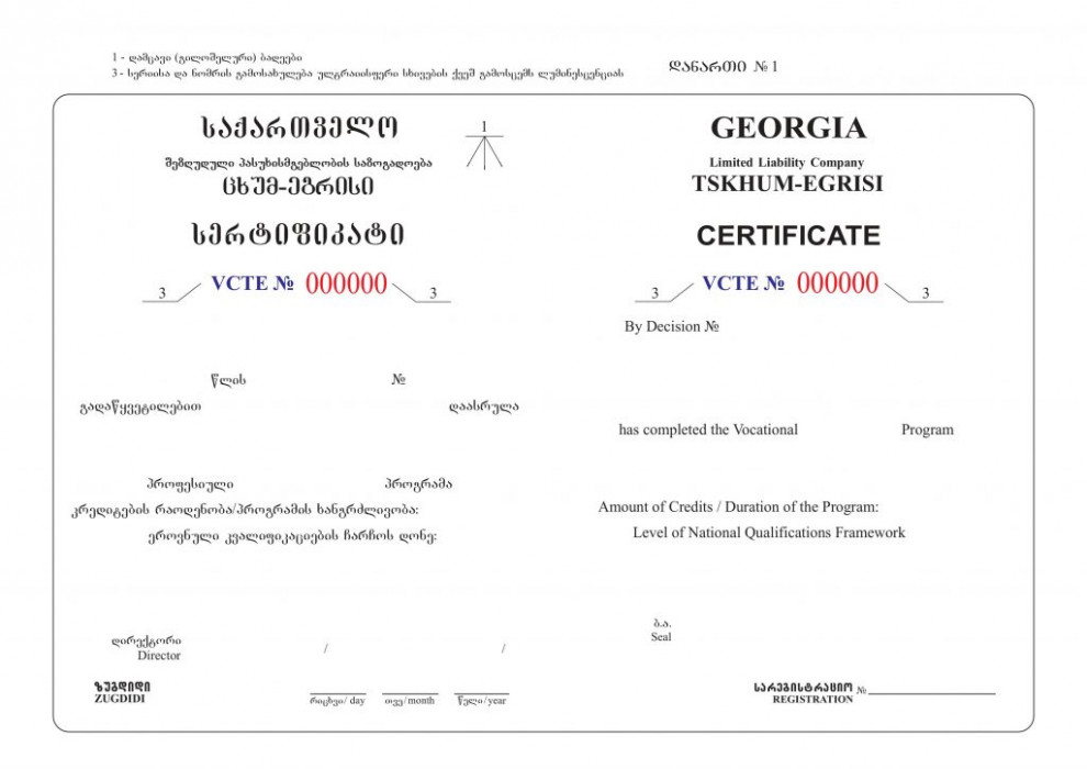 კოლეჯი ცხუმ ეგრისი